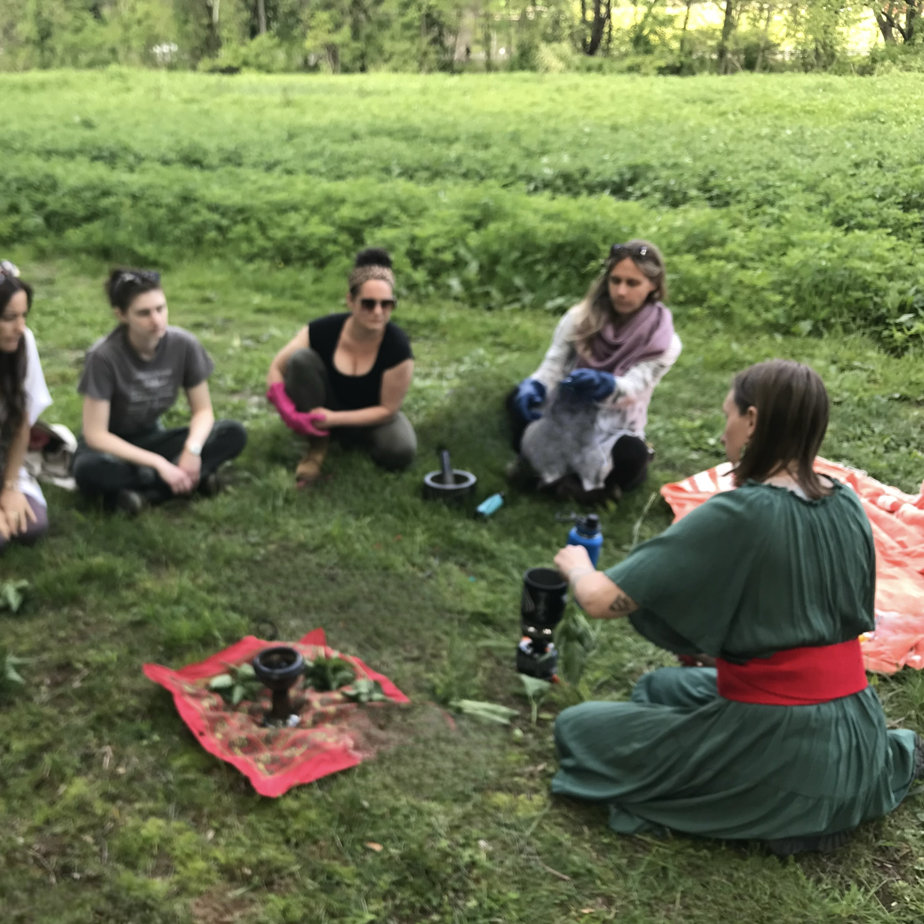 Wise Heart Apprenticeship Program – Wise Heart by Candice Lynn Dunn