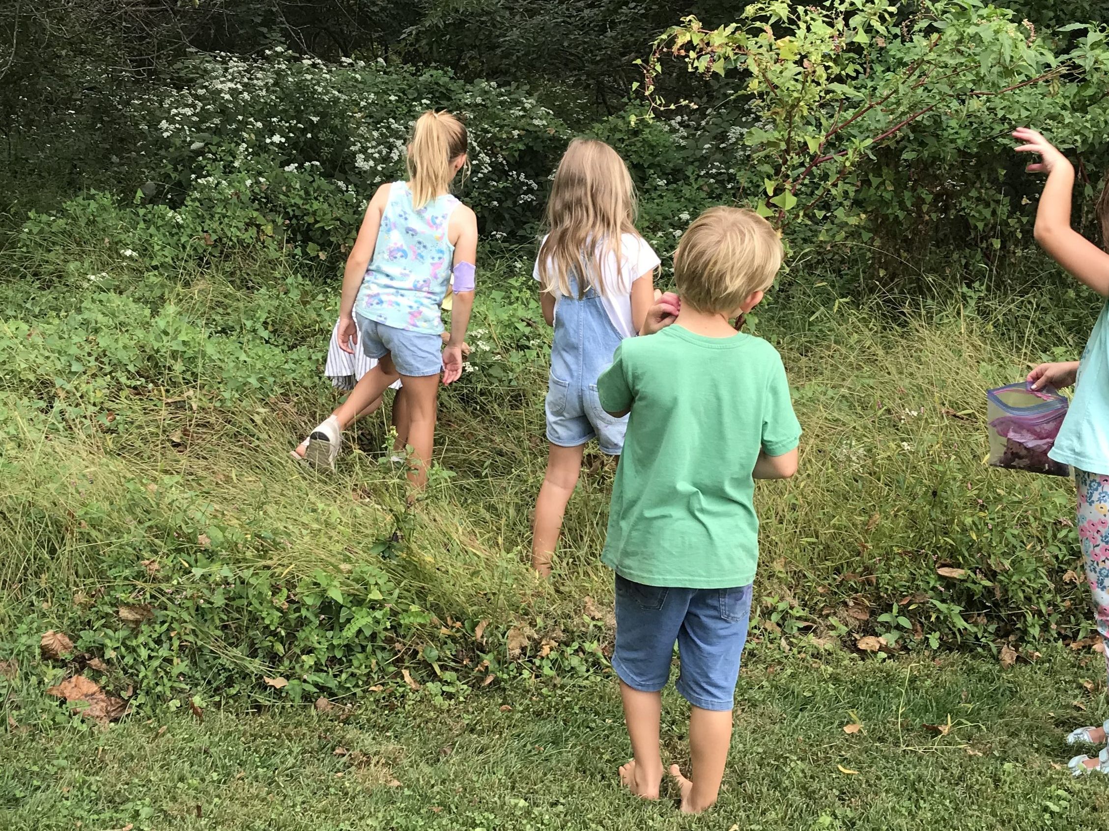 Wise Heart Homeschool Enrichment Program – Wise Heart by Candice Lynn Dunn